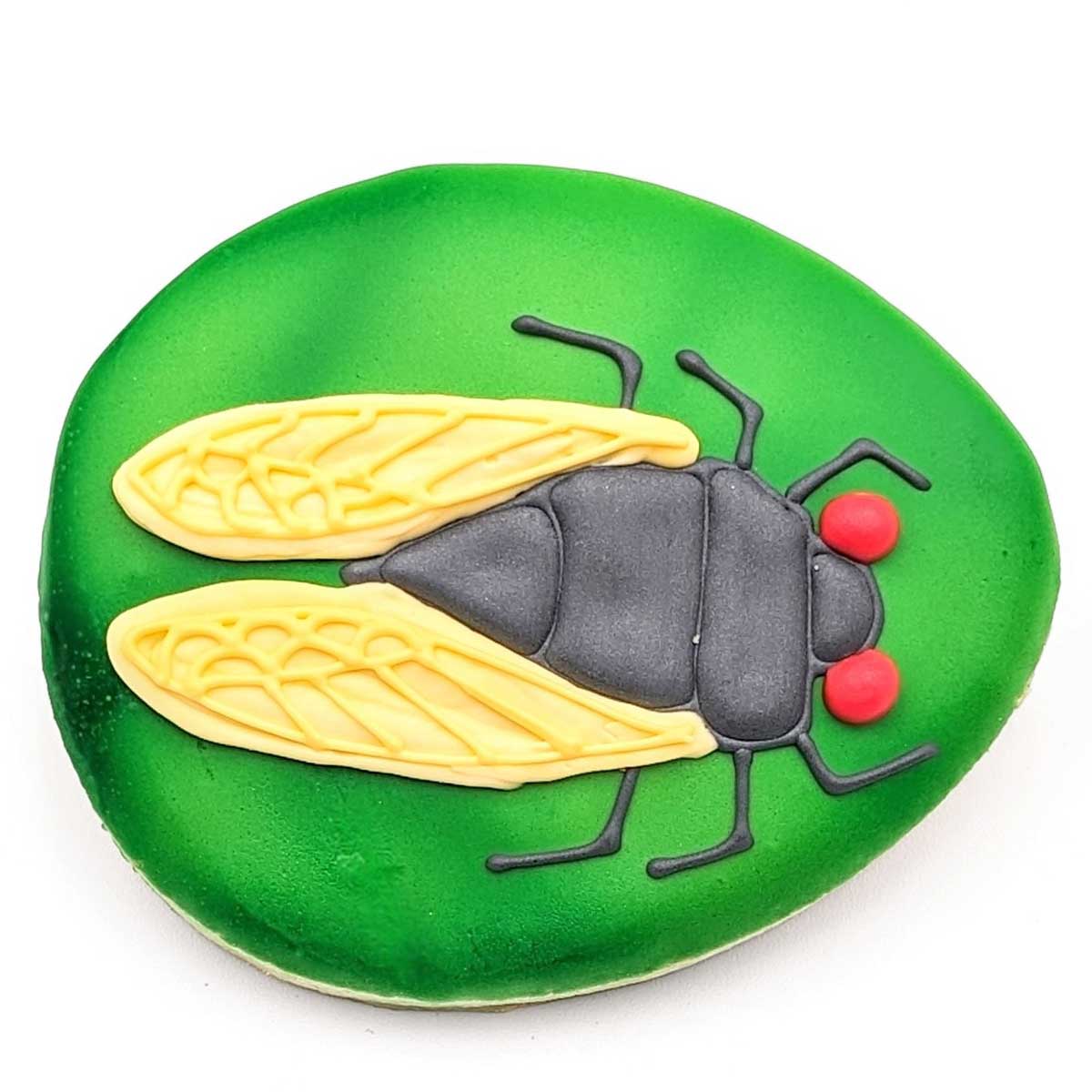 Cicada Drawing Cookie – Deerfields Bakery