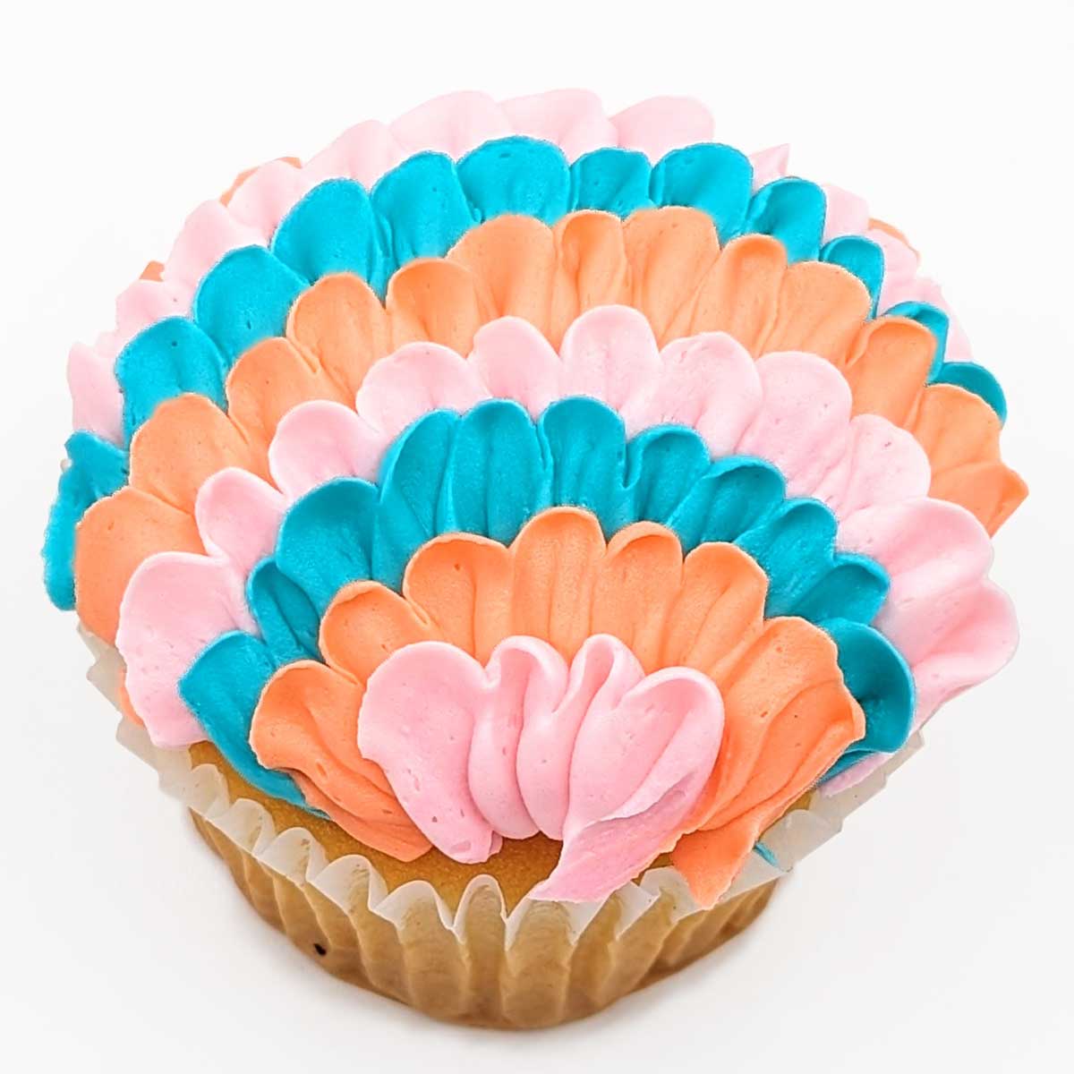 Large Cupcake: Colorful Fan – Deerfields Bakery