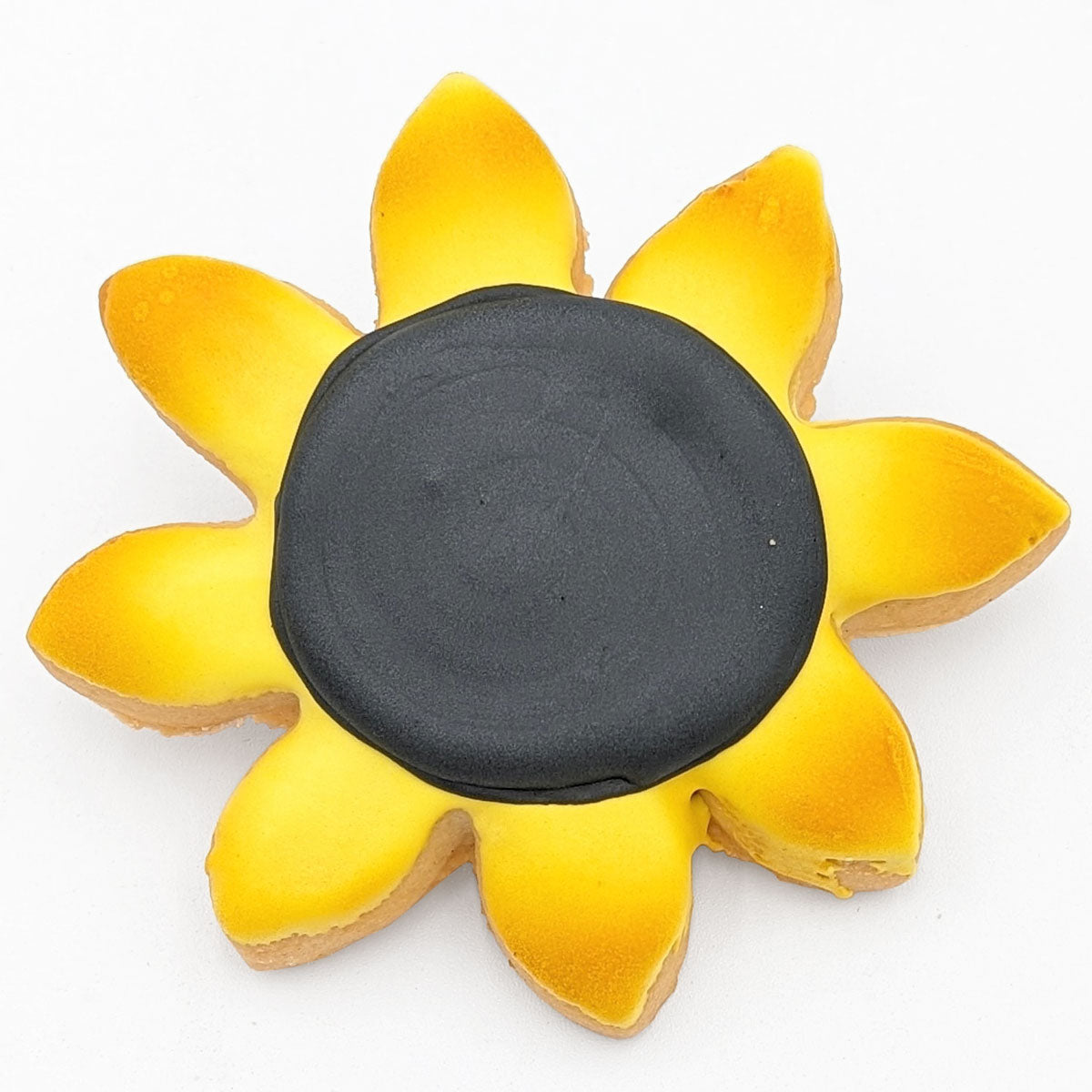 Sunburst Eclipse Cookie – Deerfields Bakery