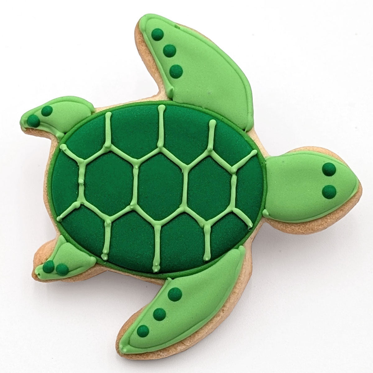 Sea Turtle Cookie – Deerfields Bakery